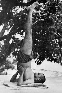 12 Basic Asanas - Sivananda International